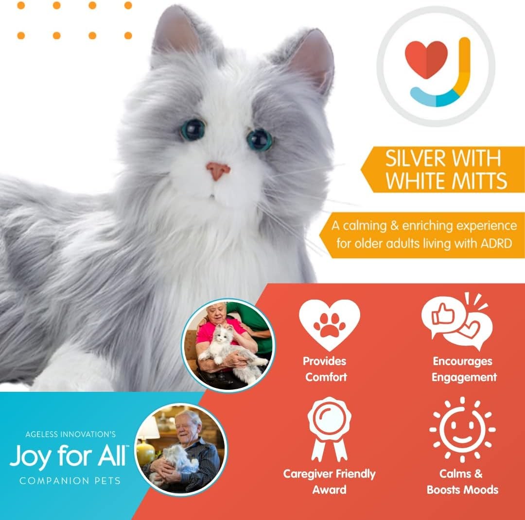 New Companion Cat — Whitewright Public Library